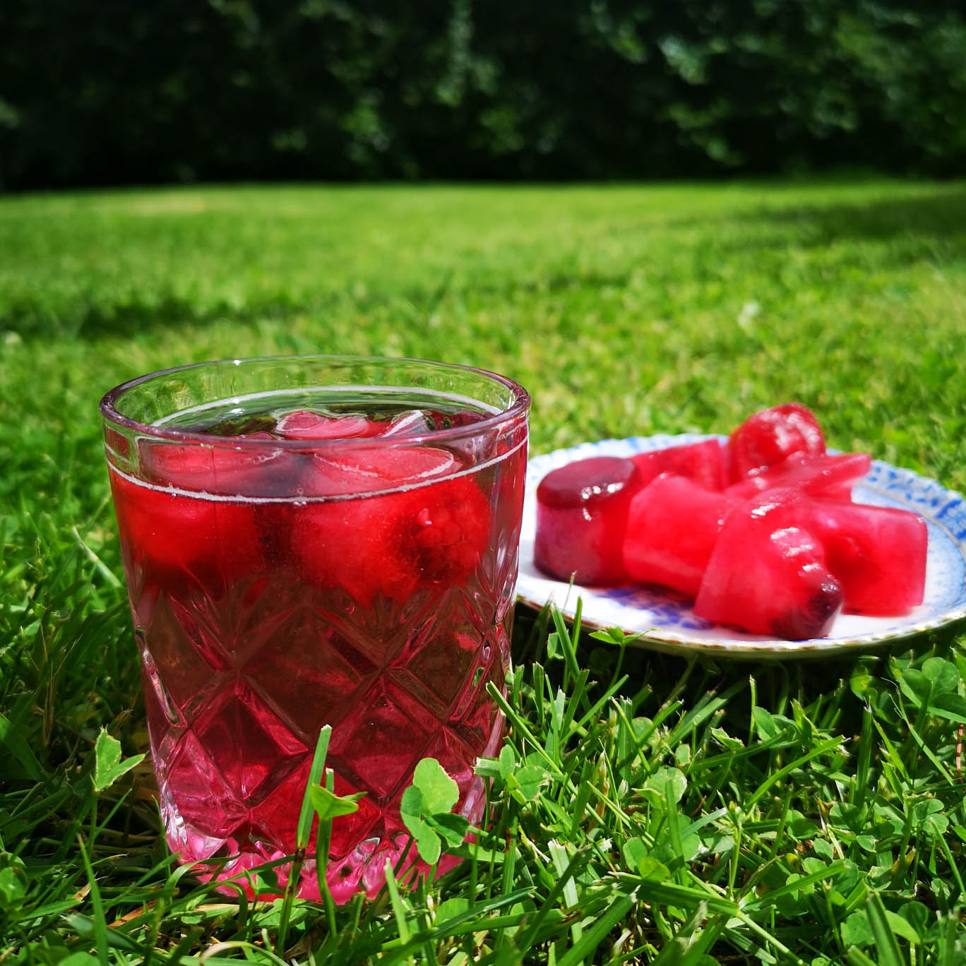 Isbiter med hibiskuspulver - Moriia